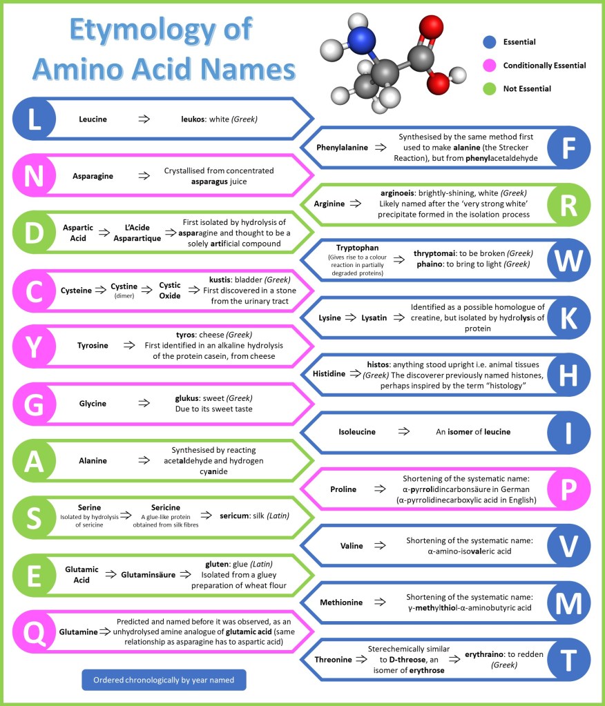 Amino Acids – Chemtymology