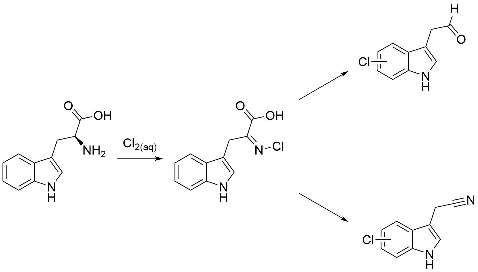 Tryptophan(e) – Chemtymology