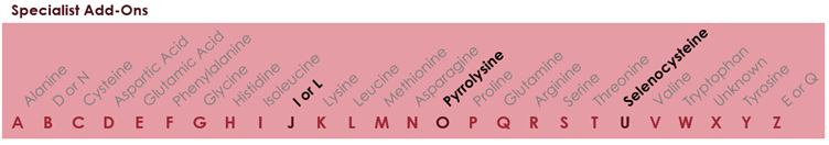 Amino Acid One-Letter Codes – Chemtymology
