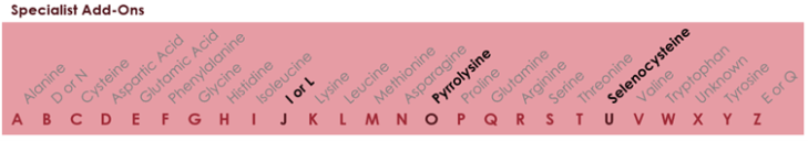 Amino Acid One-Letter Codes – Chemtymology