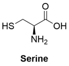 Glycine, Tyrosine, Serine and Lysine – Chemtymology